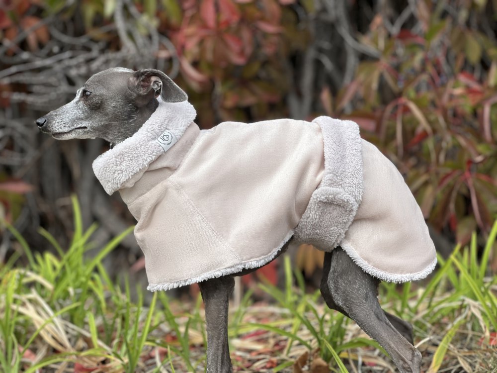 Accessories for pets | Pet Urban Style